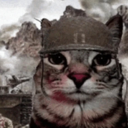 How good are yall academic wise? | General Chat | Weeb Central